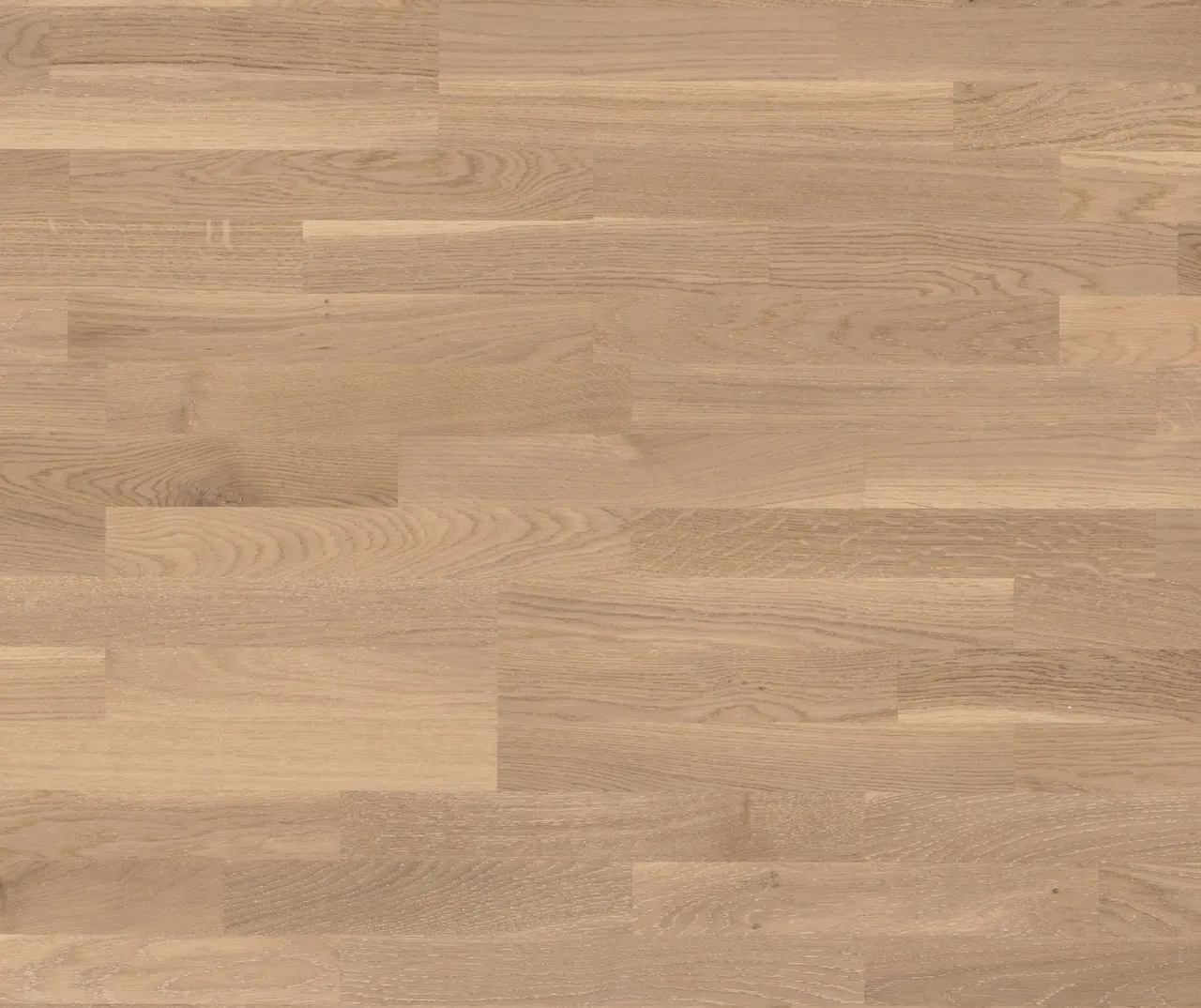 PARADOR Parkett Basic 11-5 (10030014953)